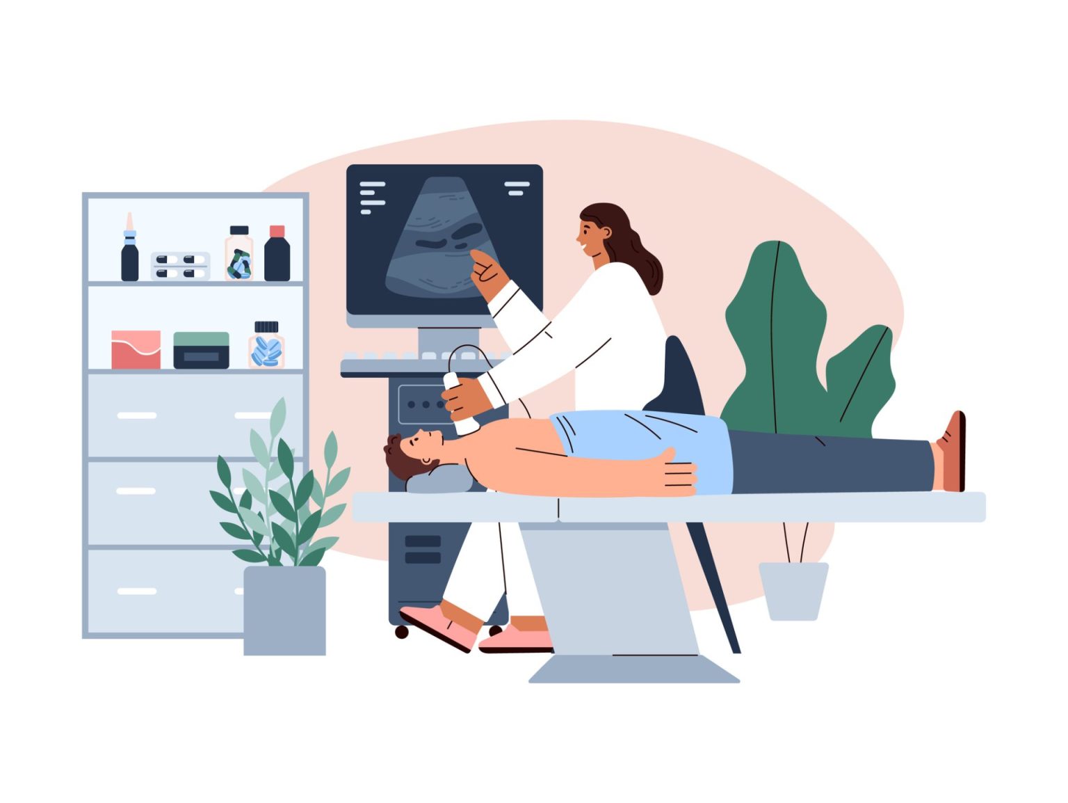 Echo and Vascular Services – Bay Area Heart